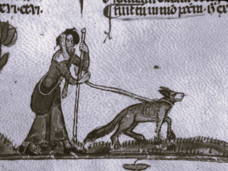 Medical Mobility Aids in the Medieval World