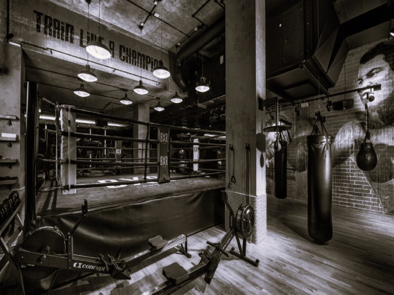 The Survivor Harry Haft’s Boxing Career Brewminate: A Bold Blend of ...