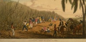 Slavery on Caribbean Sugar Plantations from the 17th to 19th Centuries ...