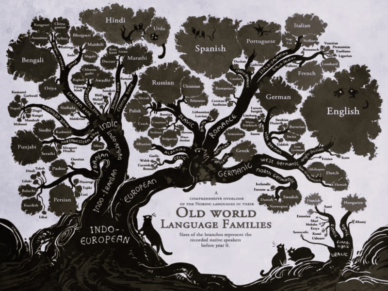 When Was Talking "Invented"? Exploring the Origin and Evolution of Language