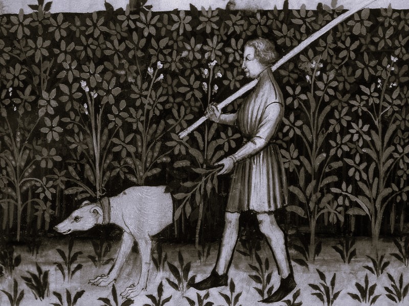 A History of Rabies in the Western Hemisphere from the 15th Century ...