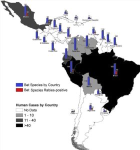 A History of Rabies in the Western Hemisphere from the 15th Century ...