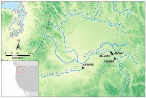 The Ancient Origins of Indigenous Tobacco Smoking in North America