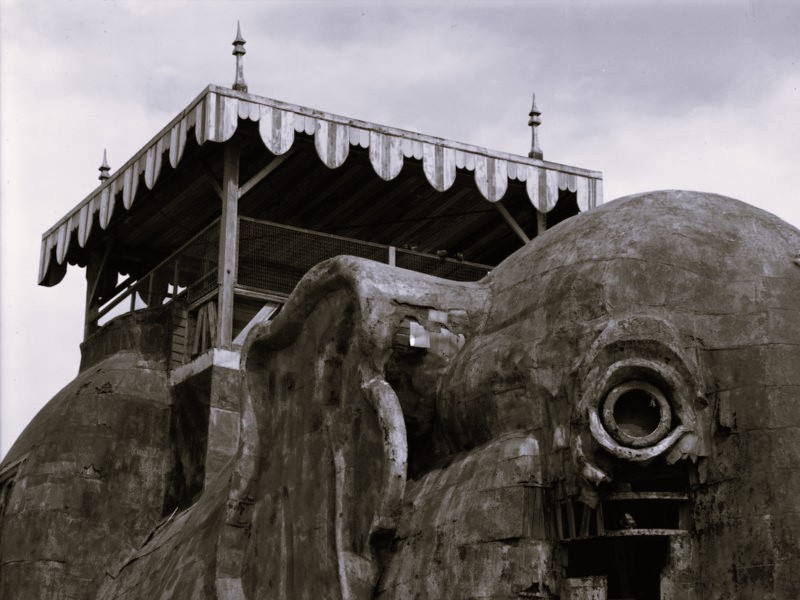 Jumbo’s Ghost: Elephants and Machines in Motion