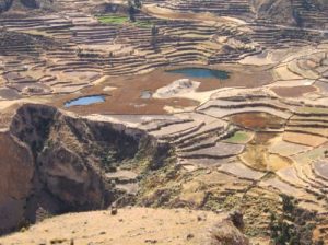 The Inca and Ancient Farming in a Harsh Climate