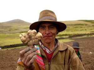 The Inca and Ancient Farming in a Harsh Climate