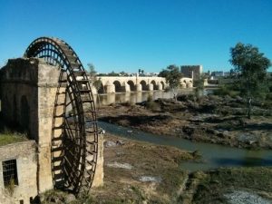 An Historical Overview of the Medieval Agricultural Revolution