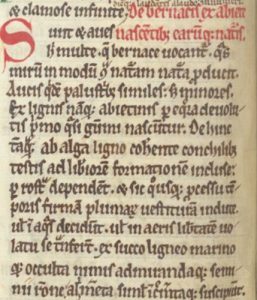 Branta Bernicia: The Medieval Myth of a Tree Giving Birth to Geese