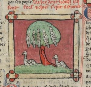 Branta Bernicia: The Medieval Myth of a Tree Giving Birth to Geese