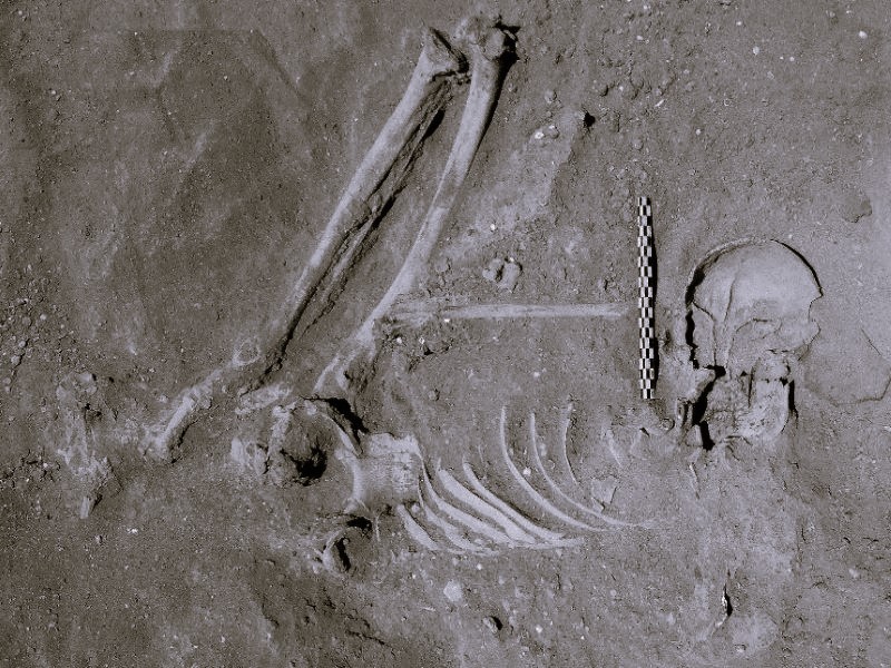 A Prehistoric, Brutal Massacre as the Earliest Evidence of War ...
