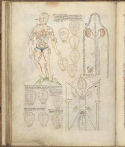 Humoral Medicine and Those Sexy Medieval Times