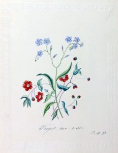 The Radical Floriography of Sarah Mapps Douglass in the 19th Century