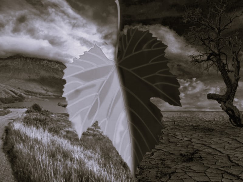 The Future of Climate Change, from Rising Temperatures to Ocean ...