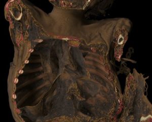 X-Raying the Ancients: CT-Scans and Learning from Ancient Mummies ...