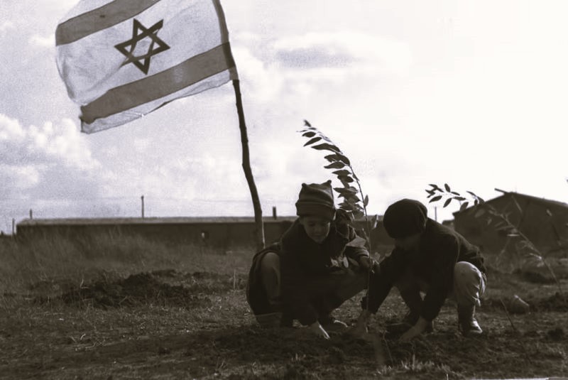 The Ancient Jewish 'New Year for Trees' as a Celebration of Nature ...