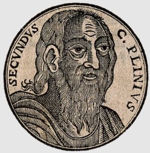Pliny the Elder's Radical Idea to Catalog Knowledge in Ancient Rome