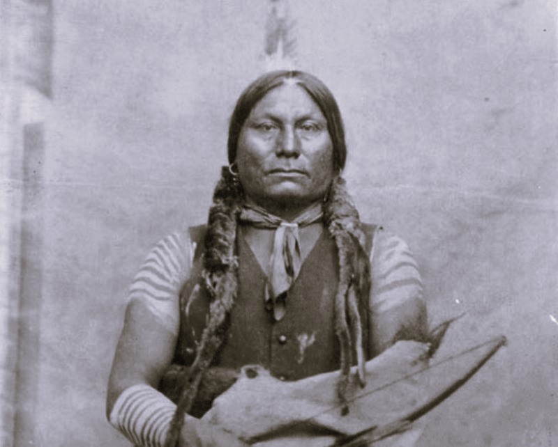 A Victor in Defeat: Chief Gall’s Life on the Standing Rock Reservation ...