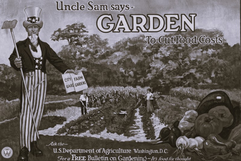 A History of the Government’s Effect on the American Diet