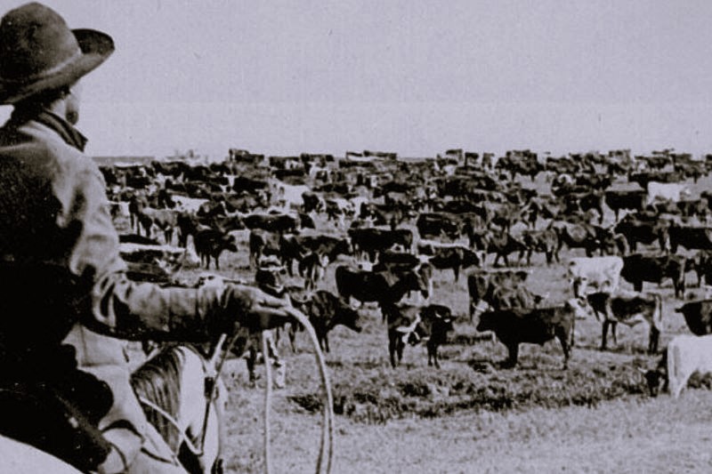 Scientists: The Unsung Heroes of the American West in the 19th Century ...