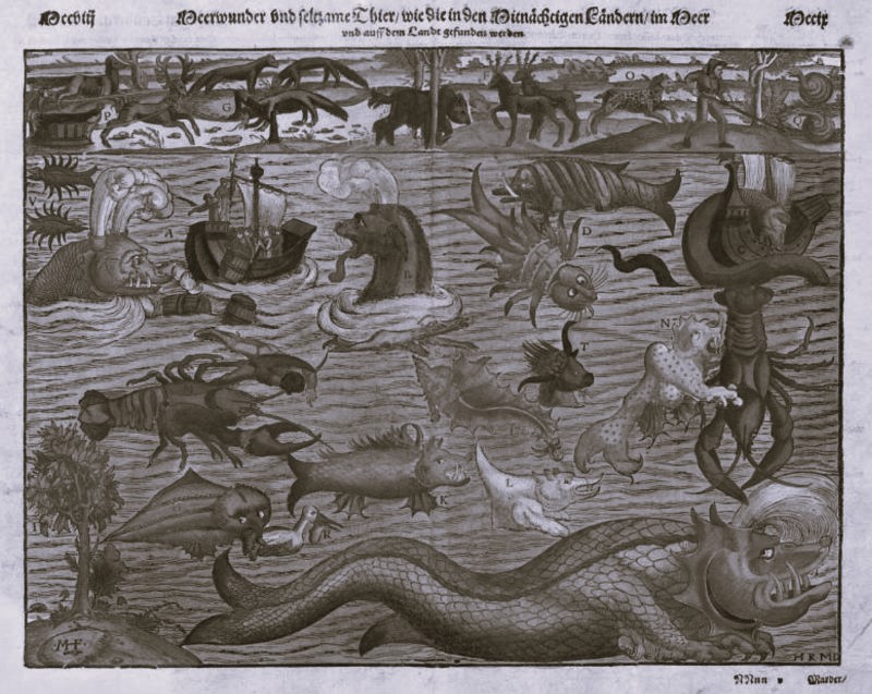Beauties and Beasts: Whales from Early-Modern Monsters to Today’s ...