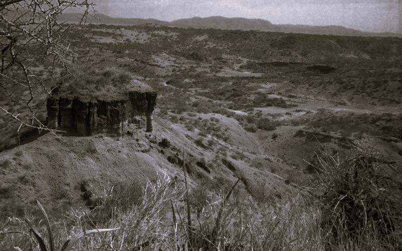 Humans Rising: The Origins of Civilization Brewminate: A Bold Blend of ...