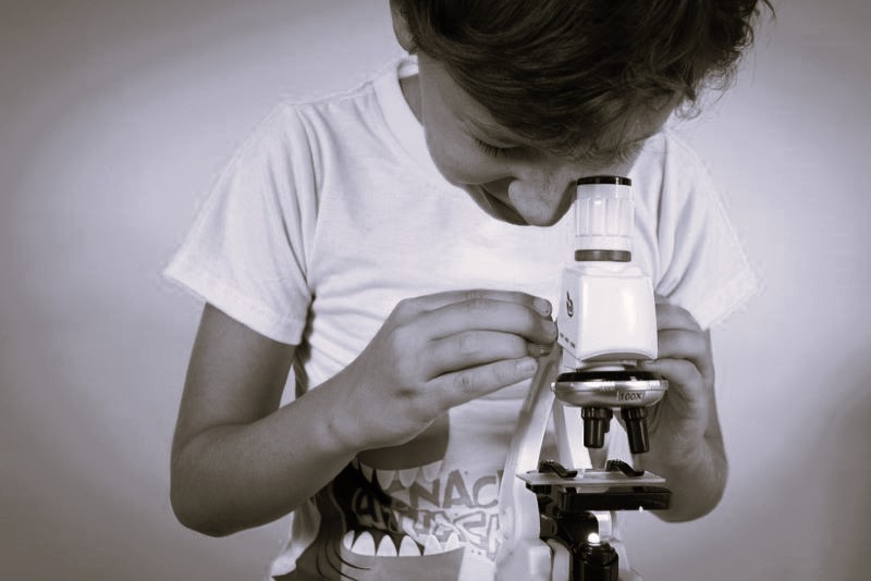 6 Reasons Why Science Education is Important in Early Childhood ...