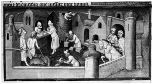 Animals: Their Use and Meaning in Medieval Medicine
