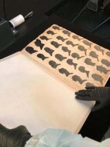 Poisoned Portraits: An Arsenic-Laced Picture Silhouette Album from the ...