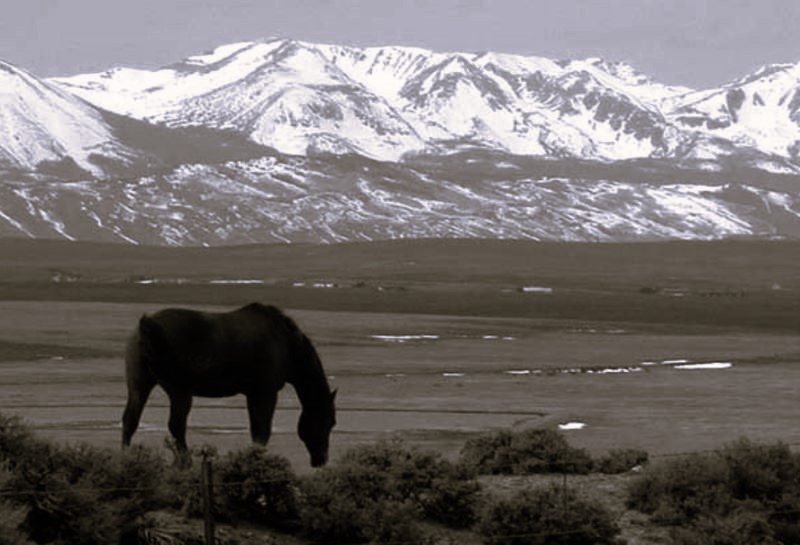 Over $146 Million Announced for Wildlife Conservation and National ...