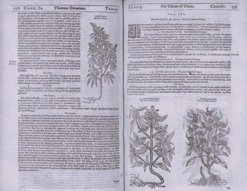 A Journey Through Time: The Evolution of Cannabis Consumption Methods ...