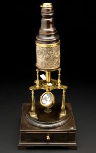 The Microscope and the Scientific Revolution in the 17th Century