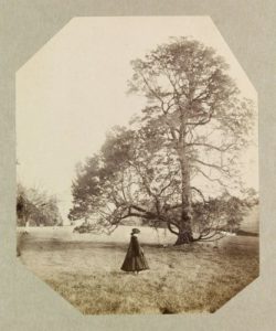 Through the Cheval Glass: Reproduction in the Photographs of Clementina ...