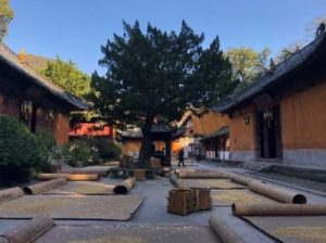 Food and Space in Medieval Buddhist and Cistercian Monasteries