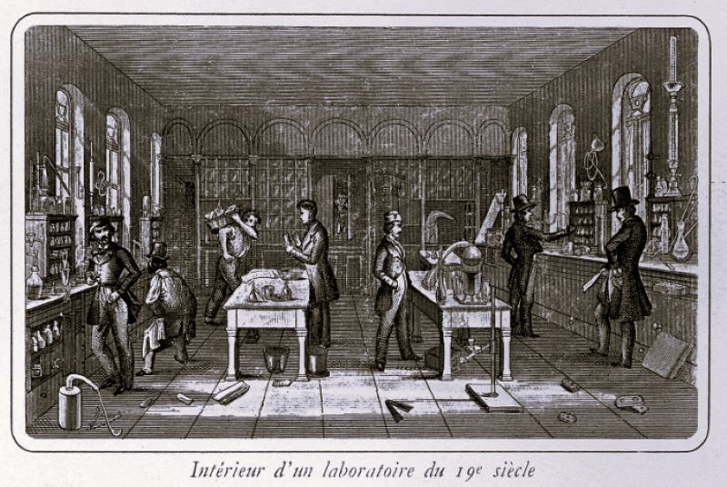 The Role of Physical Chemistry in 19th-Century Climatology