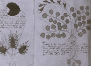 Medieval Record-Keeping: Materials, Ledgers, and Archives