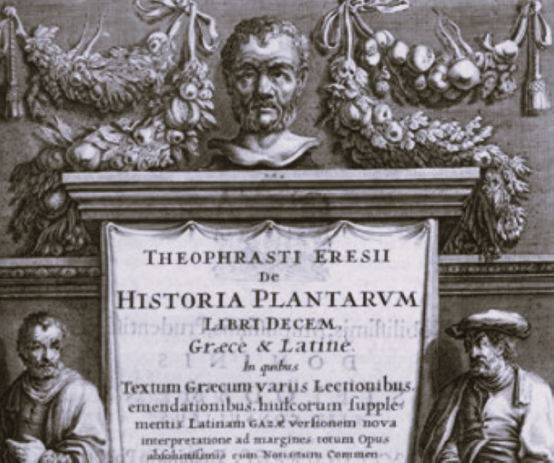 A History of Climate Change Science since the 19th Century