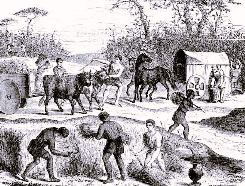 A History of Human Causes of Deadly Pandemics since the Neolithic Era