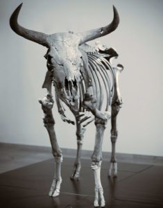 A Brief History of Money since Barter and Cattle in 9000 BCE