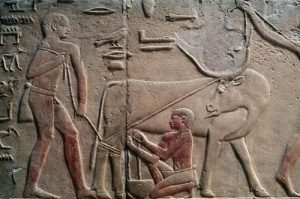 Ancient Egypt and Environmental Change