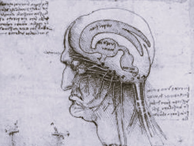 Science and Invention in Da Vinci's Renaissance Brain