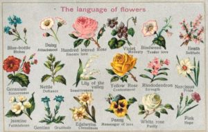 Language and Keeping in Touch in the Victorian Era