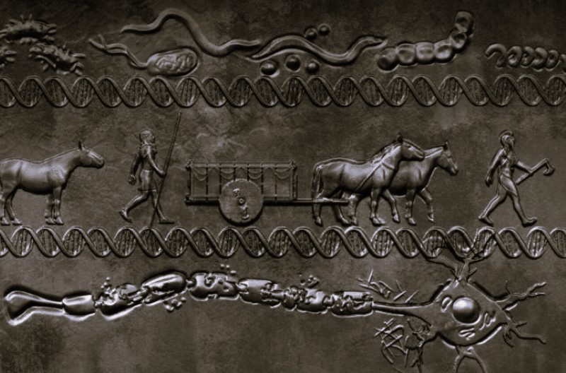 Ancient DNA and Human History
