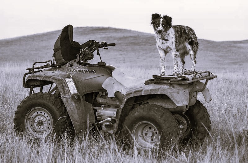 The Ultimate Guide to Choosing the Right Four Wheeler Insurance Policy