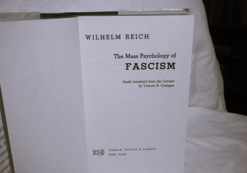 Examining Fascism and Political Repression in 1933