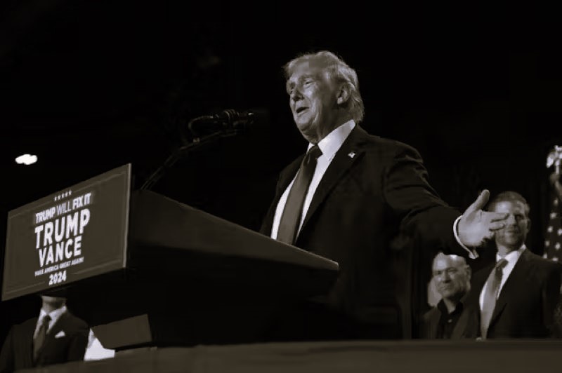 Donald Trump and Andrew Jackson - Birds of a Feather