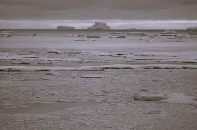 The Antarctic 'Plastisphere': Debris Threatens Even the Most Remote ...