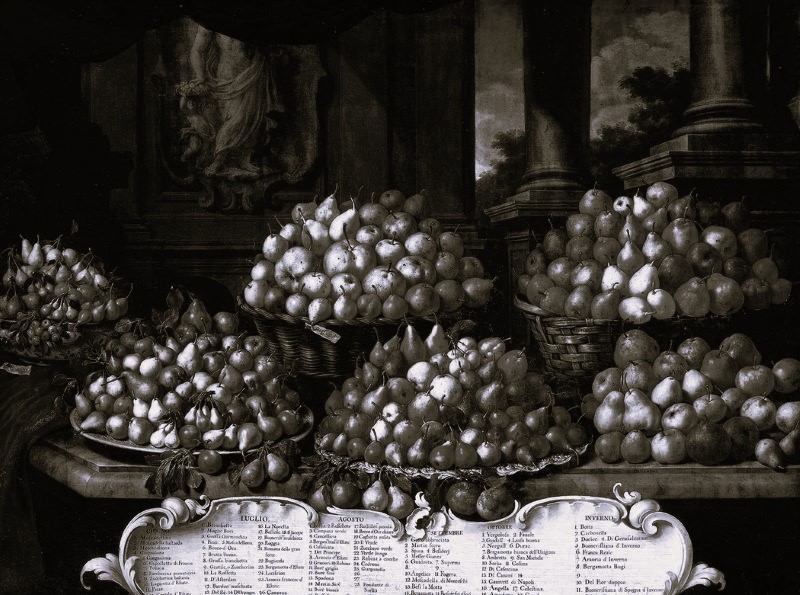 Produce That Has Disappeared from the Kitchen Table over the Centuries