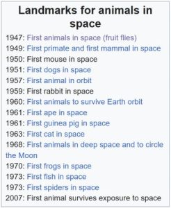 A History of Animals in Space from the 1940s