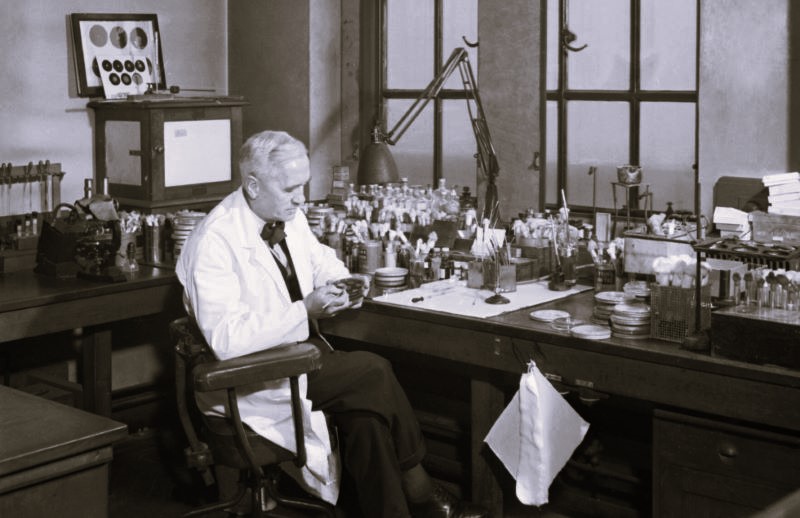 The Golden Age of Antibiotics from the 1940s to the 1960s