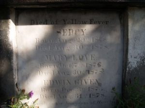 Yellow Fever Timeline: The History of a Long Misunderstood Disease